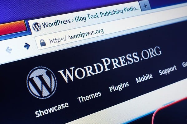 Mastering WordPress Blogging Tips: Unlock Your Blogging Potential